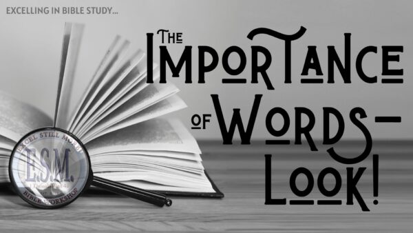 The Importance of Words – LOOK